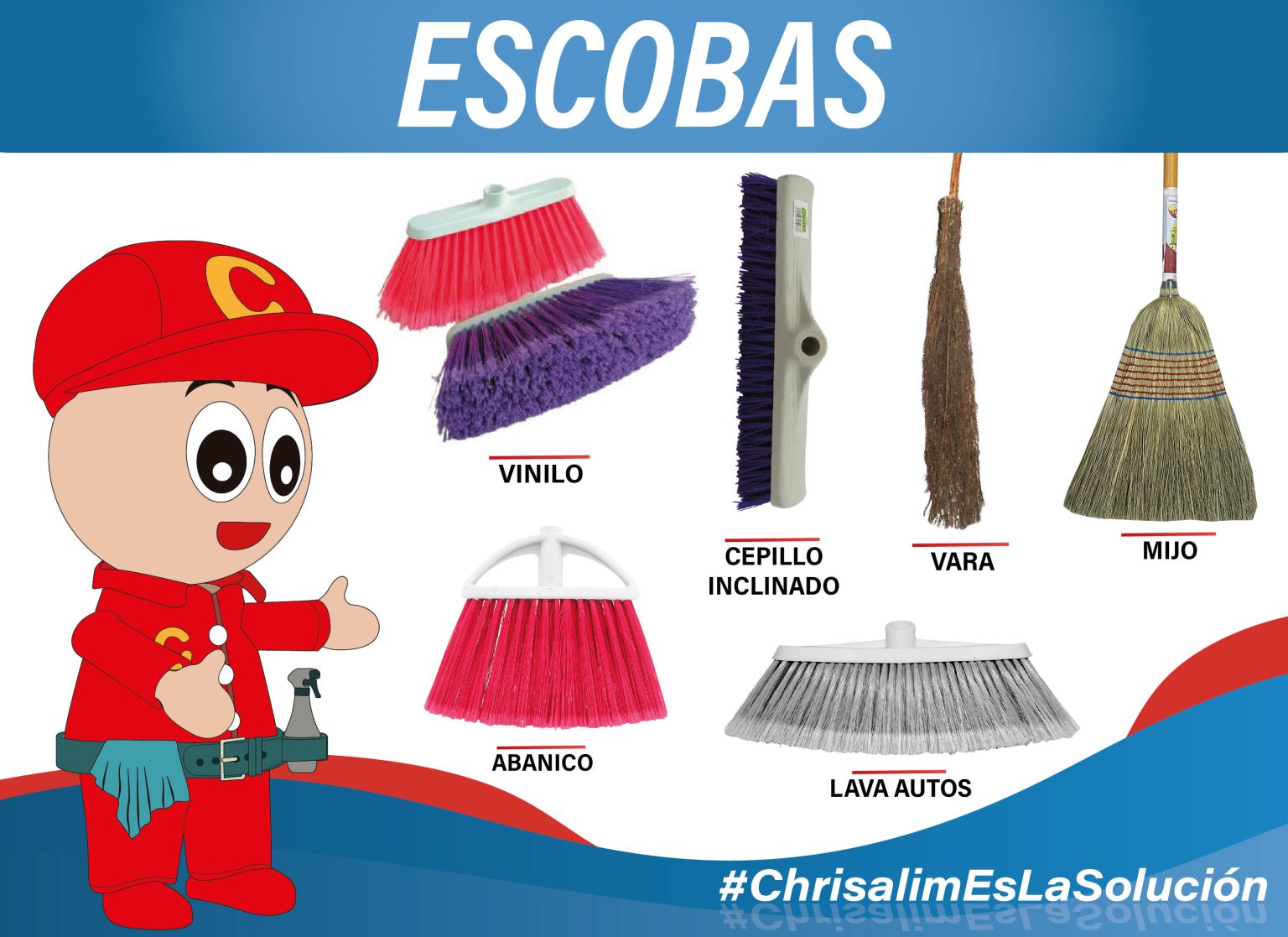 Tipos De Escobas Chrisalim